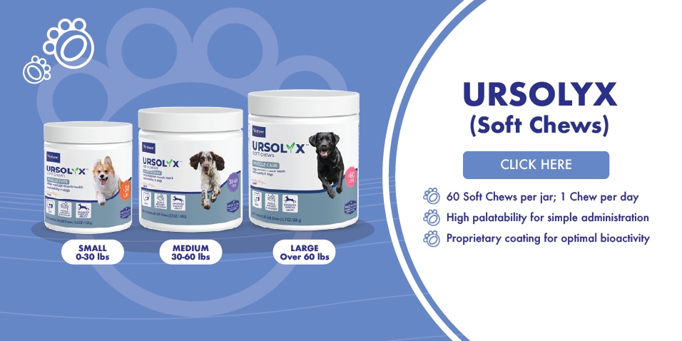 Amatheon Animal Health