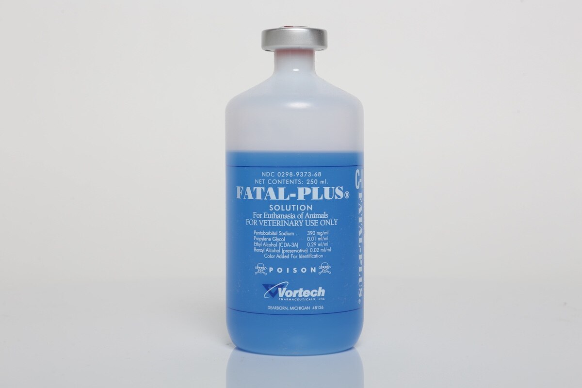 FATAL PLUS 250mL VIAL SOL C2 | Amatheon